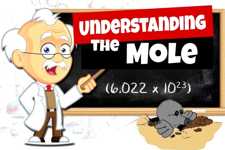 Mol là gì? Khối lượng mol, nồng độ mol, thể tích mol của chất khí